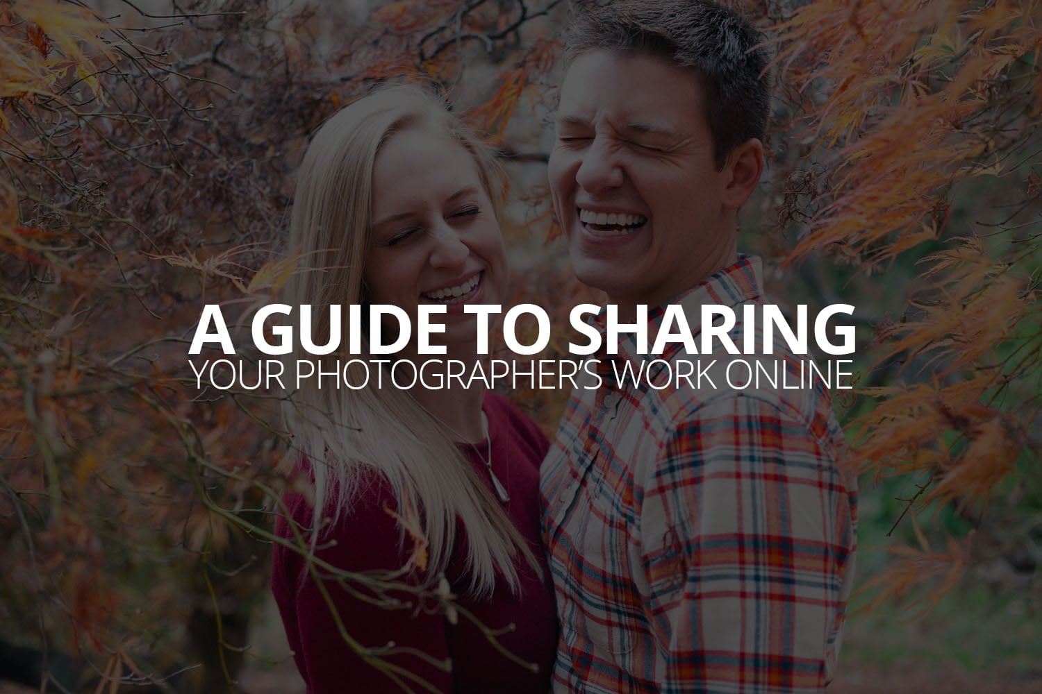 A Guide To Sharing Your Photographer’s Images Online | Petruzzo Photography